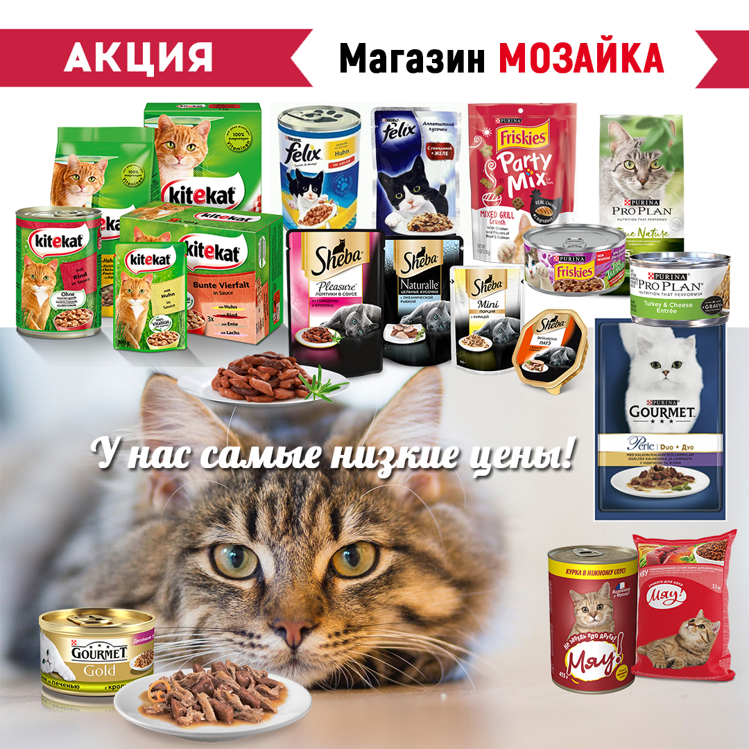 Banner design for stand/stay. Sweets are bright colors. • freelance job ...