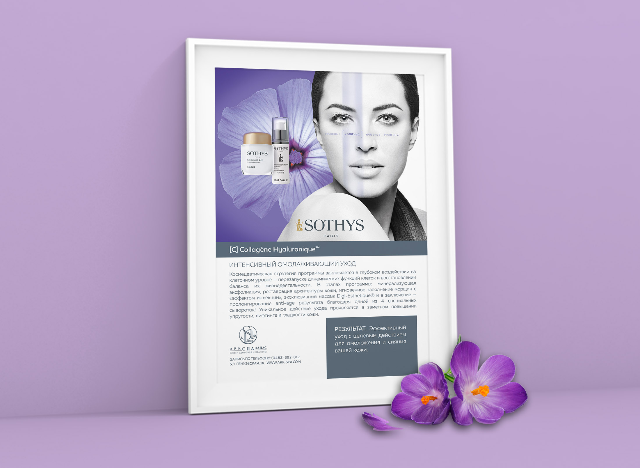Sothys New Procedure Poster for Ark SPA Palace – work from a freelancer ...