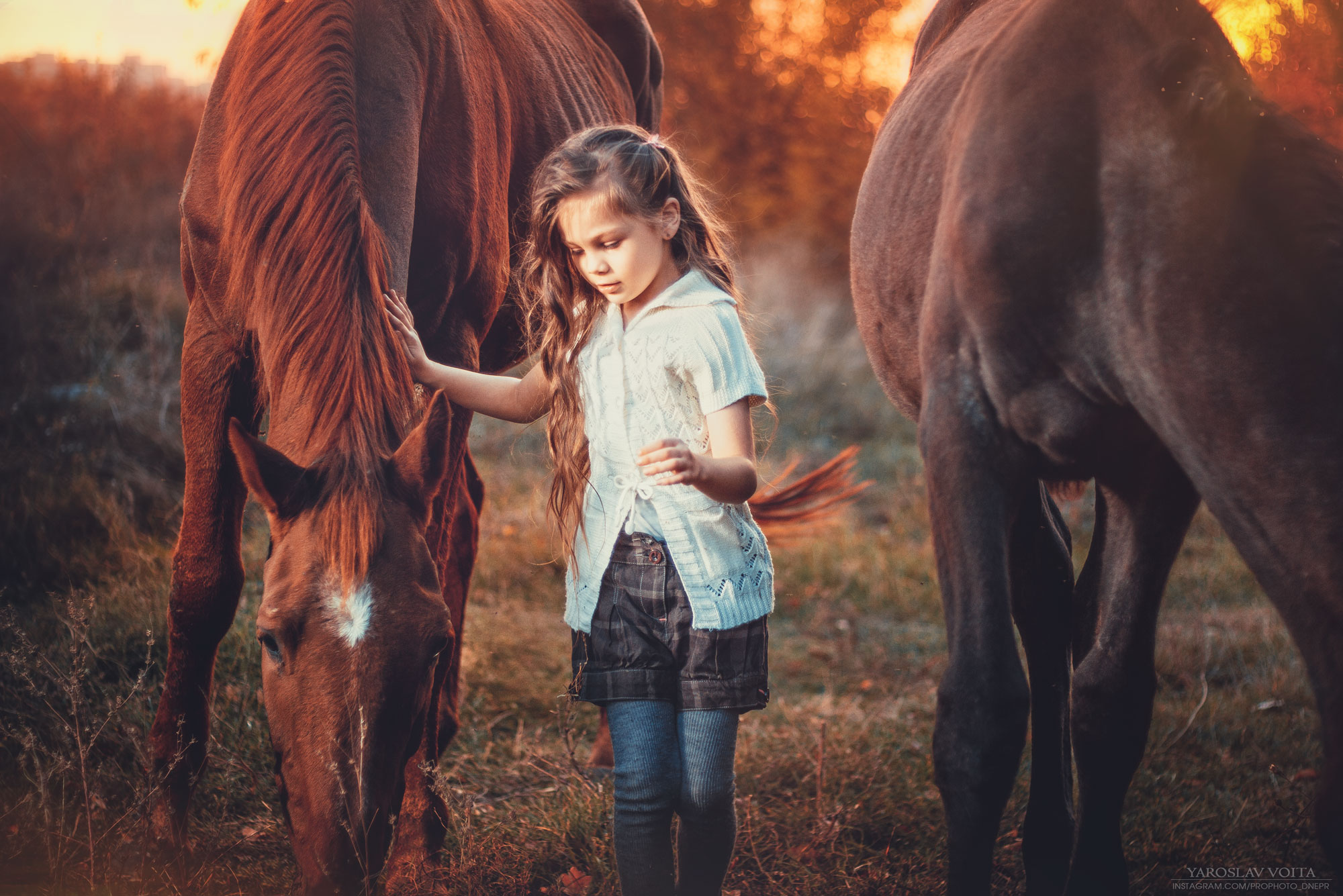 Photography of a child with horses – work from a freelancer's portfolio ...