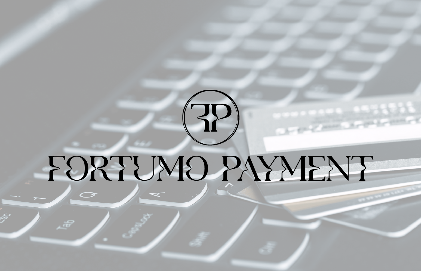 Creating a logo for the payment system – work from freelancer's ...