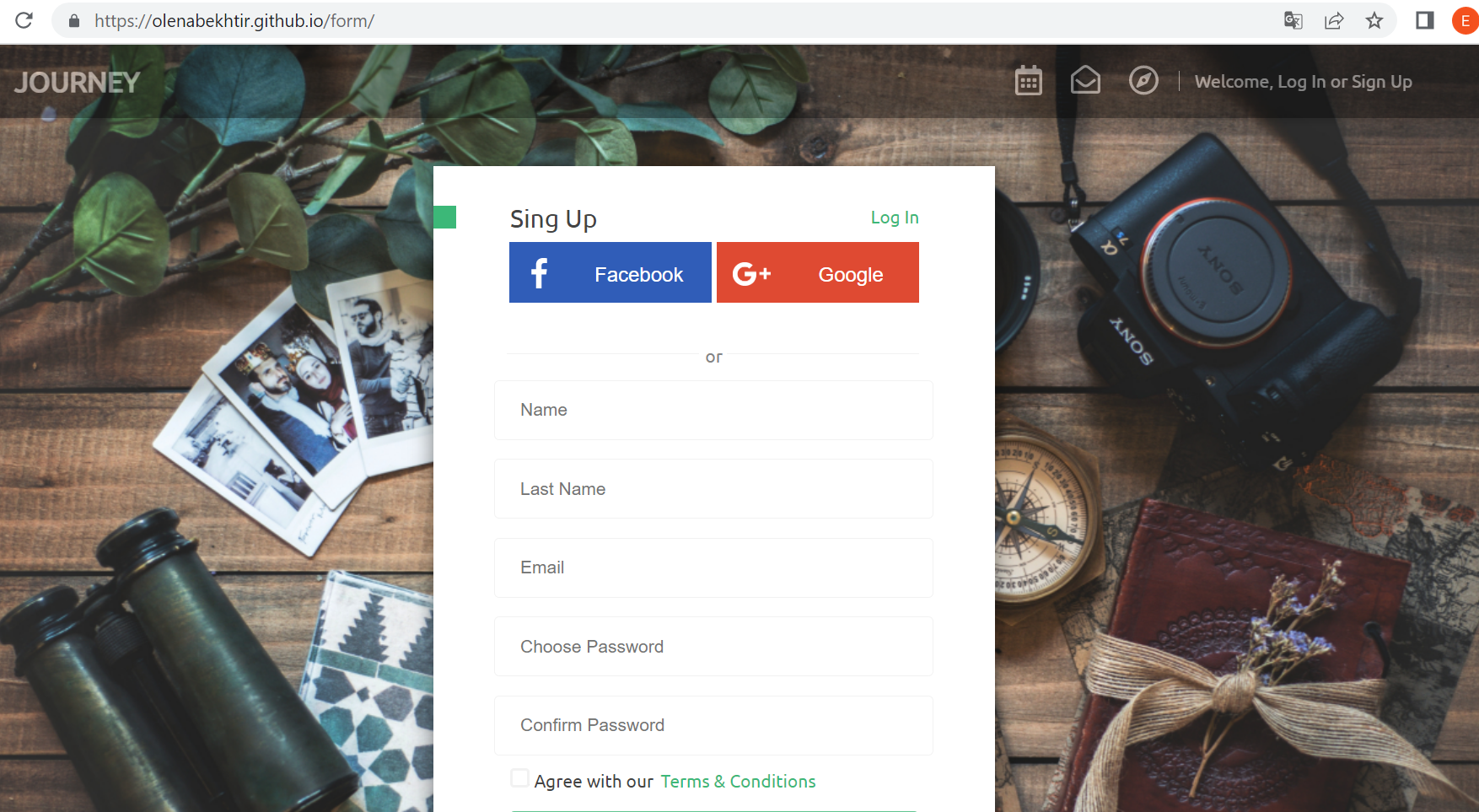 Examples of form – work from a freelancer's portfolio Олены | example from category HTML & CSS ...
