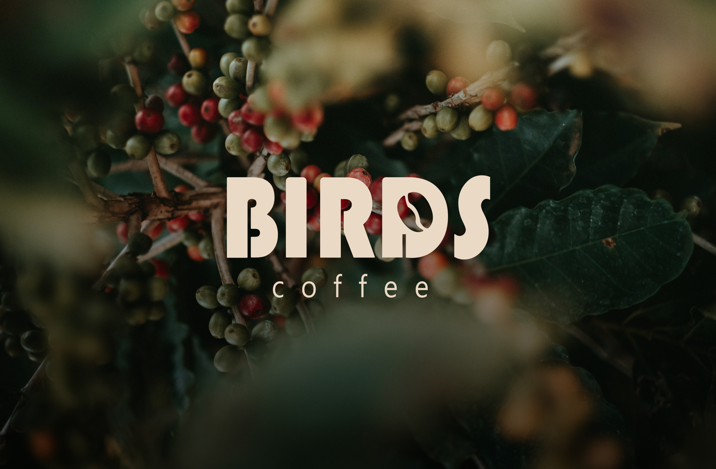 Logo for Coffee Shop – work from a freelancer's portfolio Hanna ...