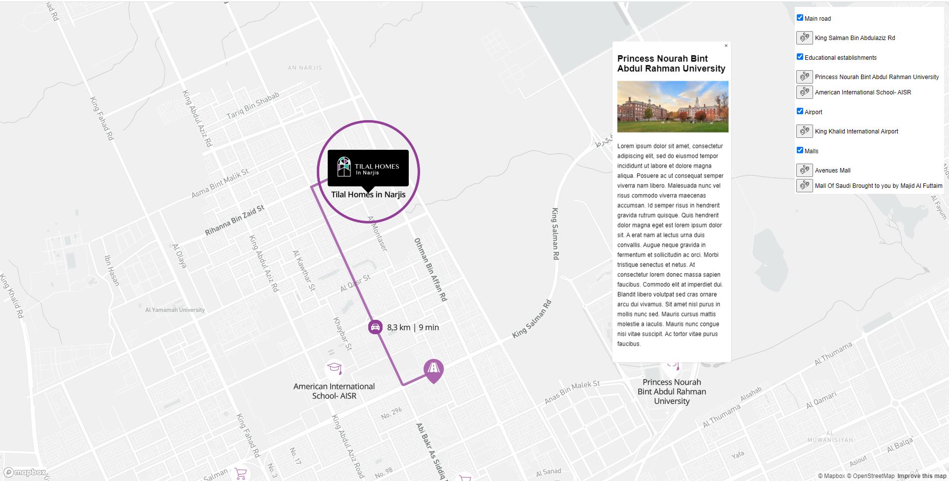 Animated routes on Mapbox – work from a freelancer's portfolio Петро ...