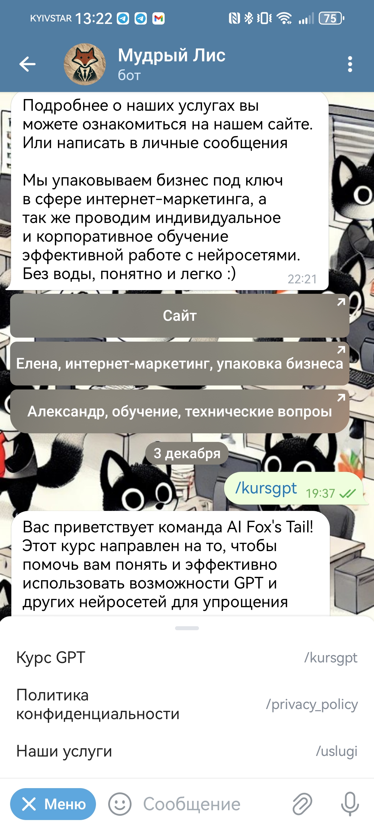 AI chatbot and GPT course – work from freelancer's portfolio Олександра ...